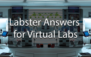 Labster Answers: Ensure A+ grades with Labster simulation!