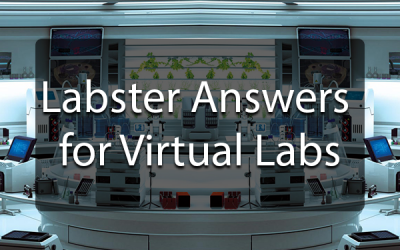 Labster Answers: Ensure A+ grades with Labster simulation!