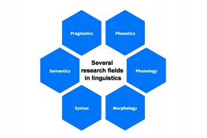 Explore The Linguistics Research Fields of Study and Topics