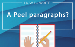 PEEL Paragraph Structure Tips for Academic Essay Help