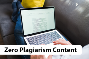 MyEconlab Answers - Get your all economics assignments help