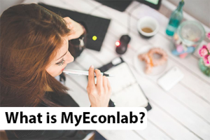 MyEconlab Answers - Get your all economics assignments help