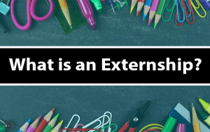 Externship vs Internship: Find Out The Best Opportunity For Students